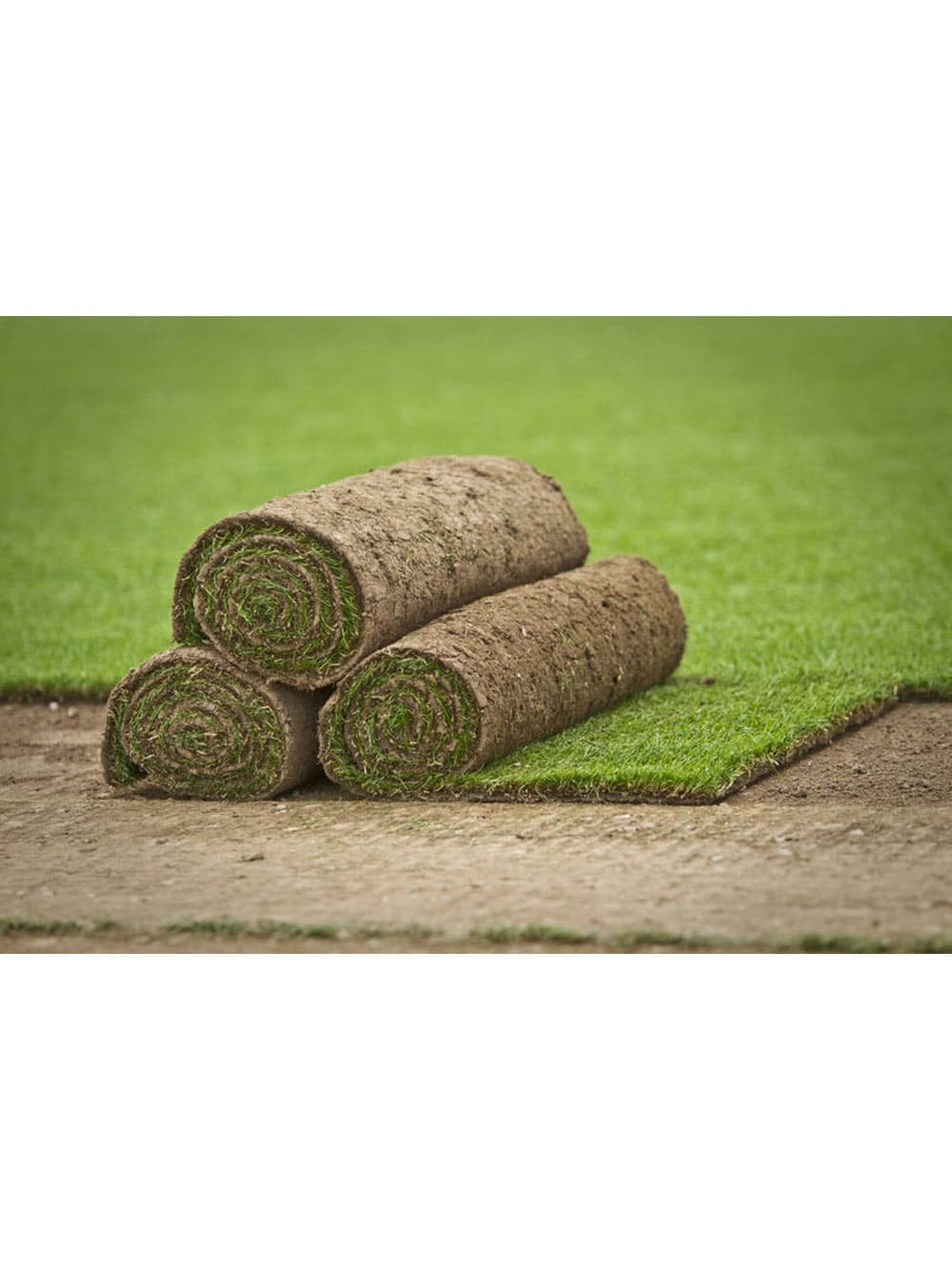 Discover the Best Garden Turf Surrey for Your Home!
